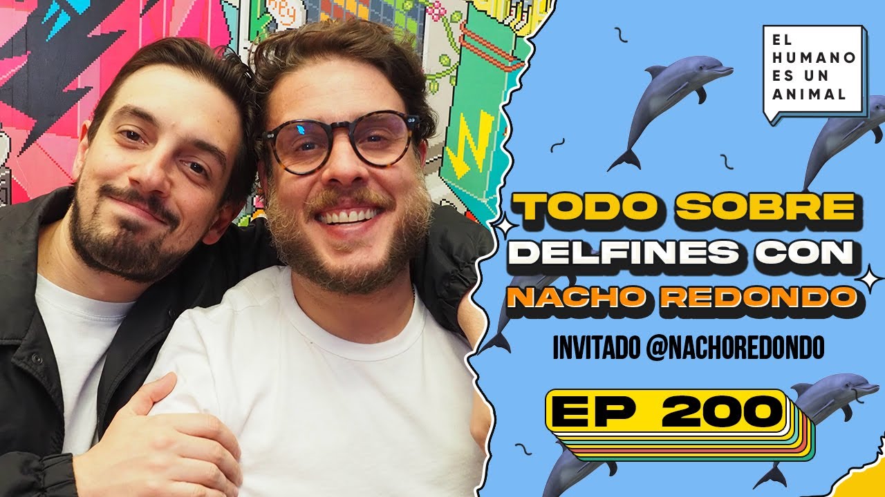 Todo sobre delfines con Nacho Redondo - El humano es un animal #200 - YouTube