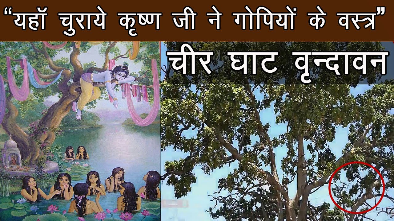 5000 साल पुराना वह "पेड़" जिस पर श्री कृष्ण जी ने गोपियों के वस्त्र ...