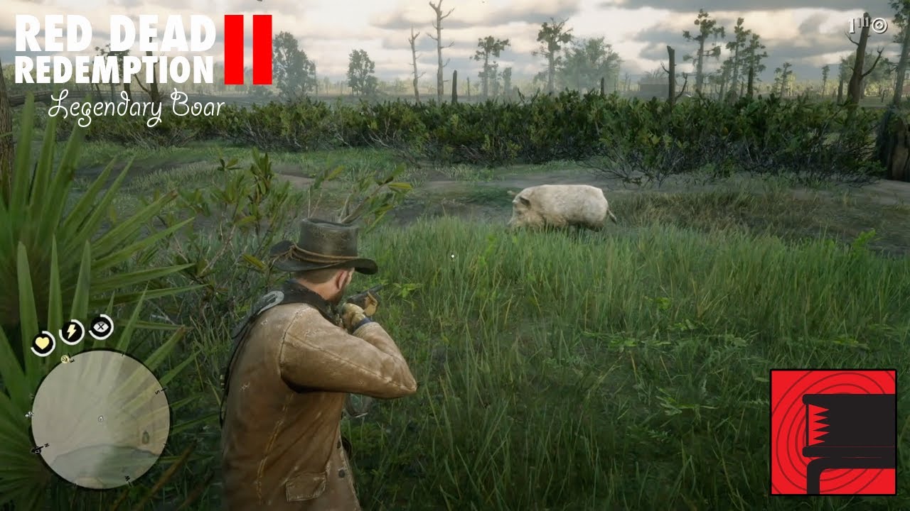 Red Dead Redemption 2: Legendary Boar - YouTube