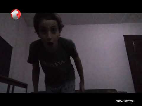 Orman Çetesi Türkçe Dublaj İzle