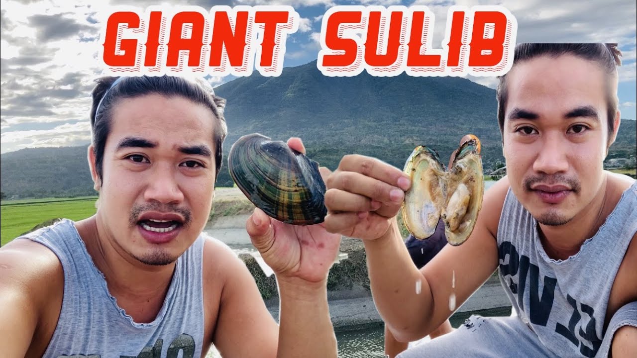 GIANT SULIB o FRESH WATER MUSSELS KASAMANG MULI ANG SALI GOSU TV ...