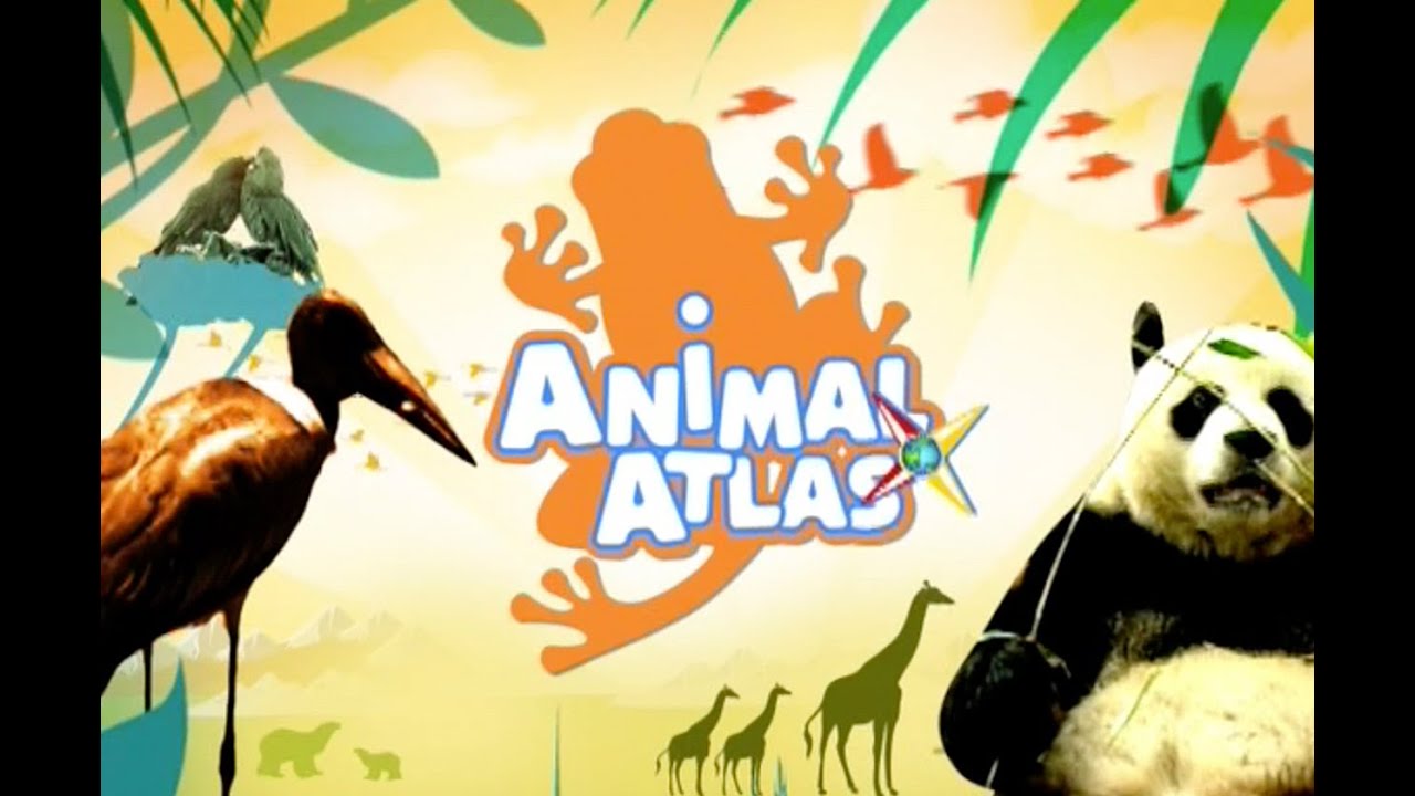 Animal Atlas Show Opener - YouTube