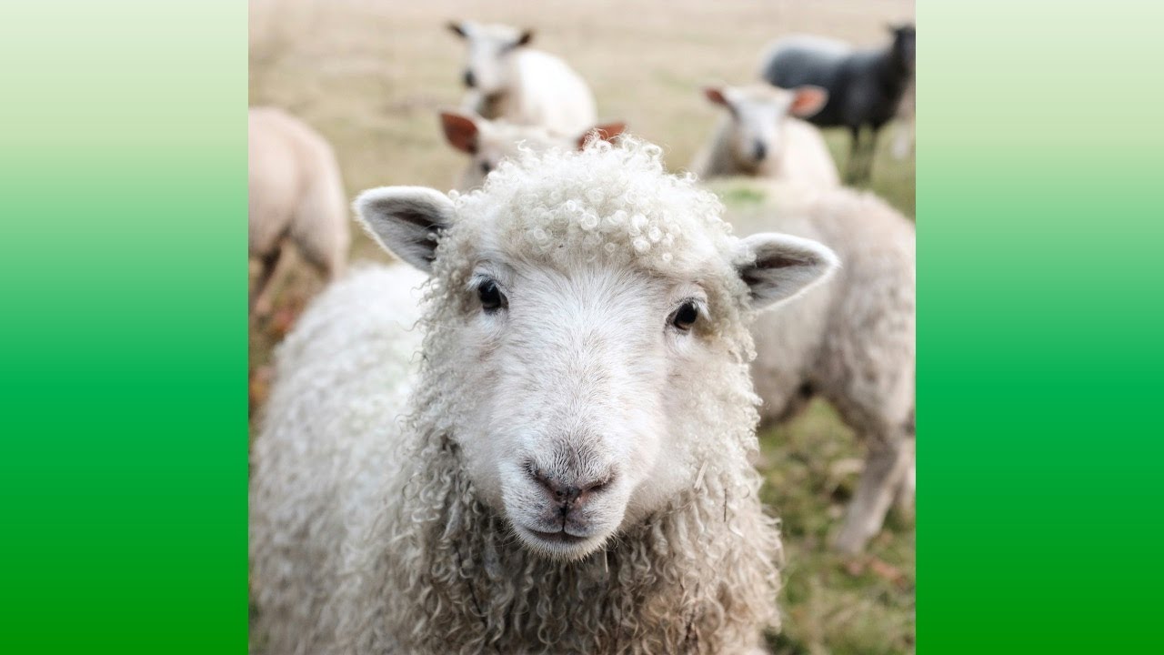 Spirit-Led Worship: Part 2 - Simon Powell (17 MAR 2024) - YouTube