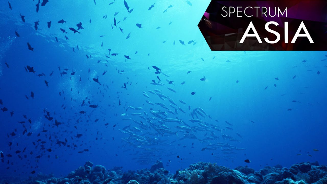 Spectrum Asia - Into the Deep (1) 02/21/2016 | CCTV - YouTube
