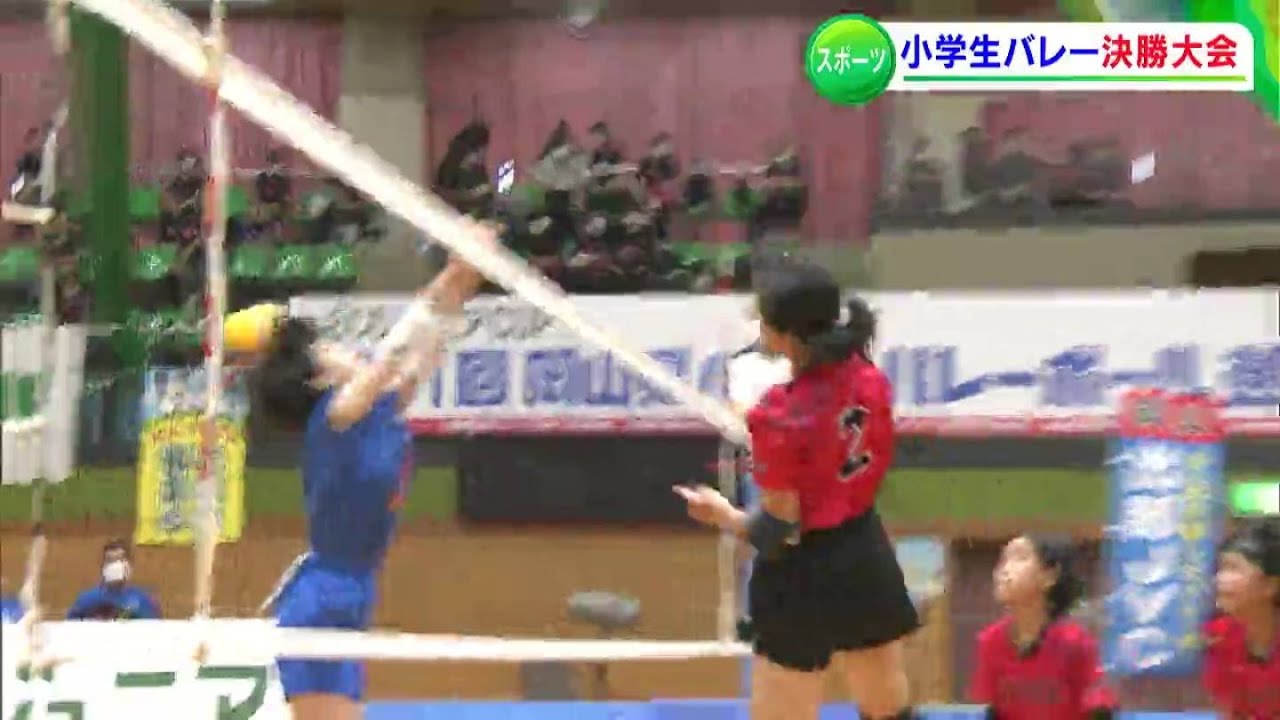 「とてもいい夏になった」岡山県小学生バレーボール選手権・女子の部は「いばら出部JVC」が初優勝 - YouTube