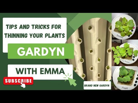 Beginner tutorial for GARDYN Hydroponics System! (thinning your plants ...