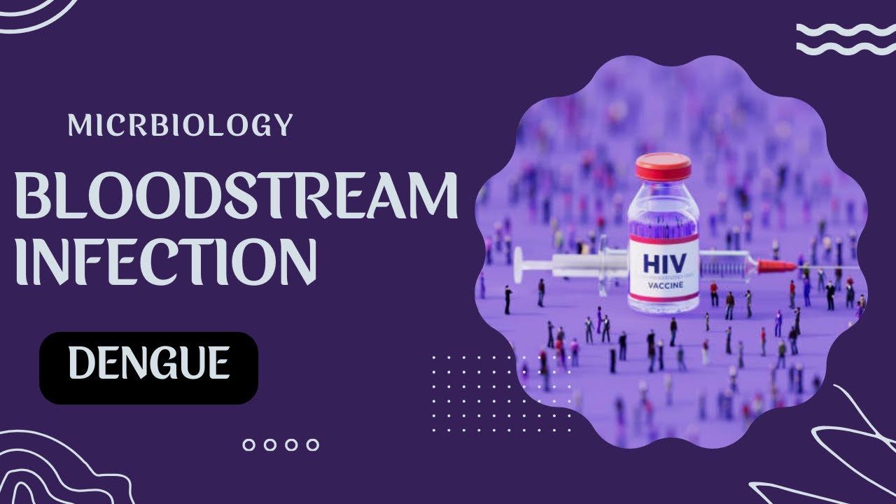 DENGUE |VIRAL HAEMORRHAGIC FEVER |BLOOD STREAM INFECTION @MedifyMBBS ...