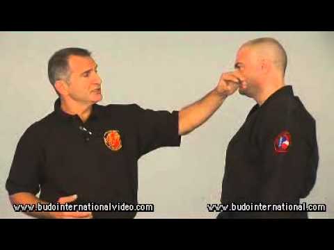 Kyusho. The 6 Ji Hands. Evan Pantazi