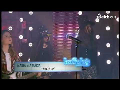 Maria Redondo Mugica-What's up - YouTube