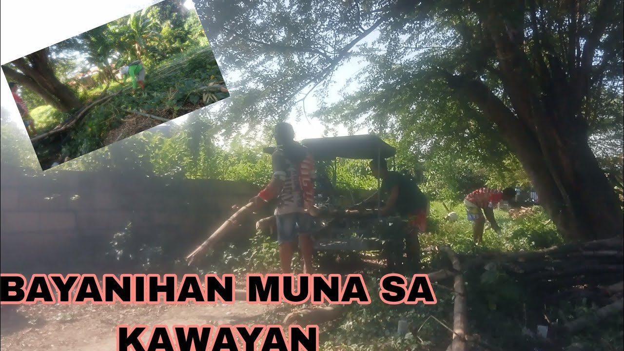 HINAKOT NA MUNA NAMIN ANG MGA KAWAYAN SA LUCKY FARM - YouTube