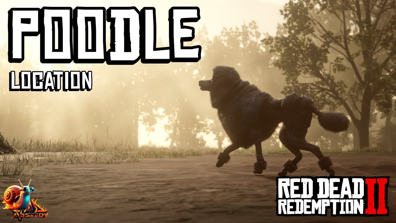 Poodle Location - Red Dead Redemption 2 - YouTube
