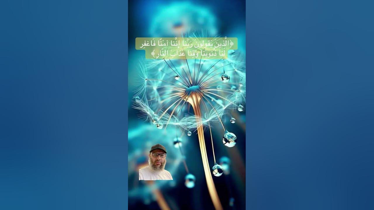 ﴿الَّذينَ يَقولونَ رَبَّنا إِنَّنا آمَنّا فَاغفِر لَنا ذُنوبَنا وَقِنا