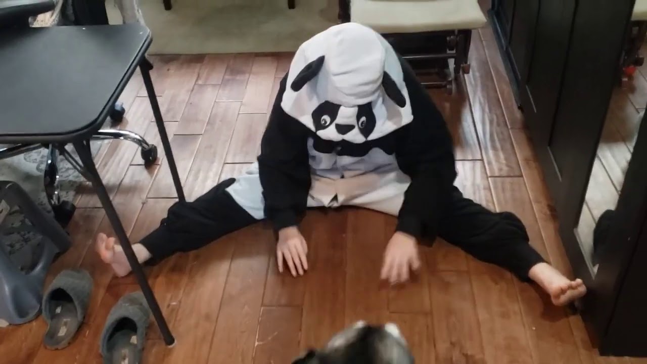 Dance Choreography with Panda - YouTube