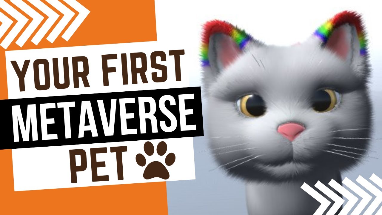 Petaverse Network, Future of Augmented Reality, Raise Digital ...