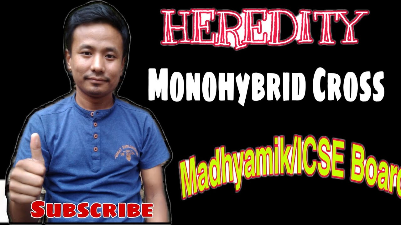 PART III HEREDITY MONOHYBRID CROSS PUNNETT SQUARE PHENOTYPIC AND GENOTYPIC RATIO YouTube PART III HEREDITY MONOHYBRID CROSS PUNNETT SQUARE PHENOTYPIC AND GENOTYPIC RATIO YouTube
