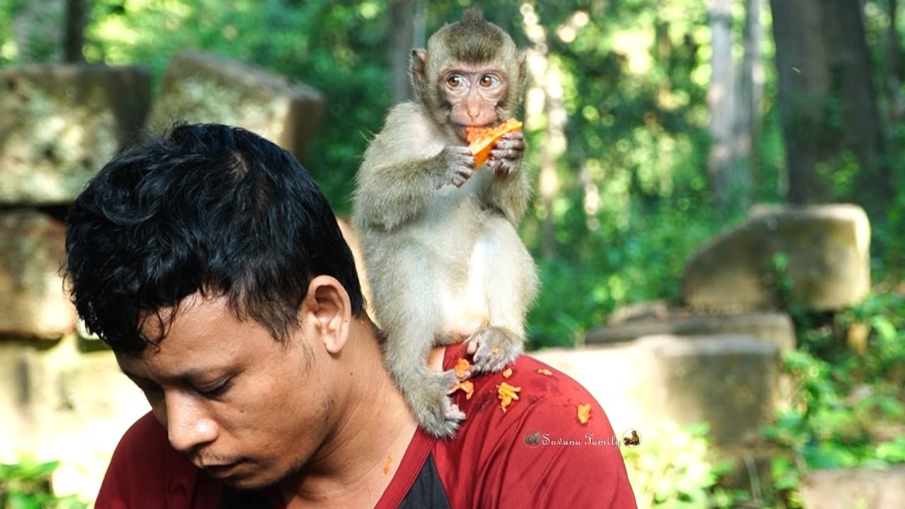 Kids are so pleasure to have food & Rainbow find best place to eat food ...