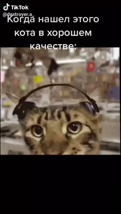 Кот в наушниках Youtube