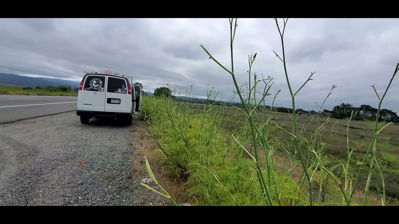 Tuluwat Island. Home of the Wiyot. #Resilence #LandBack - YouTube
