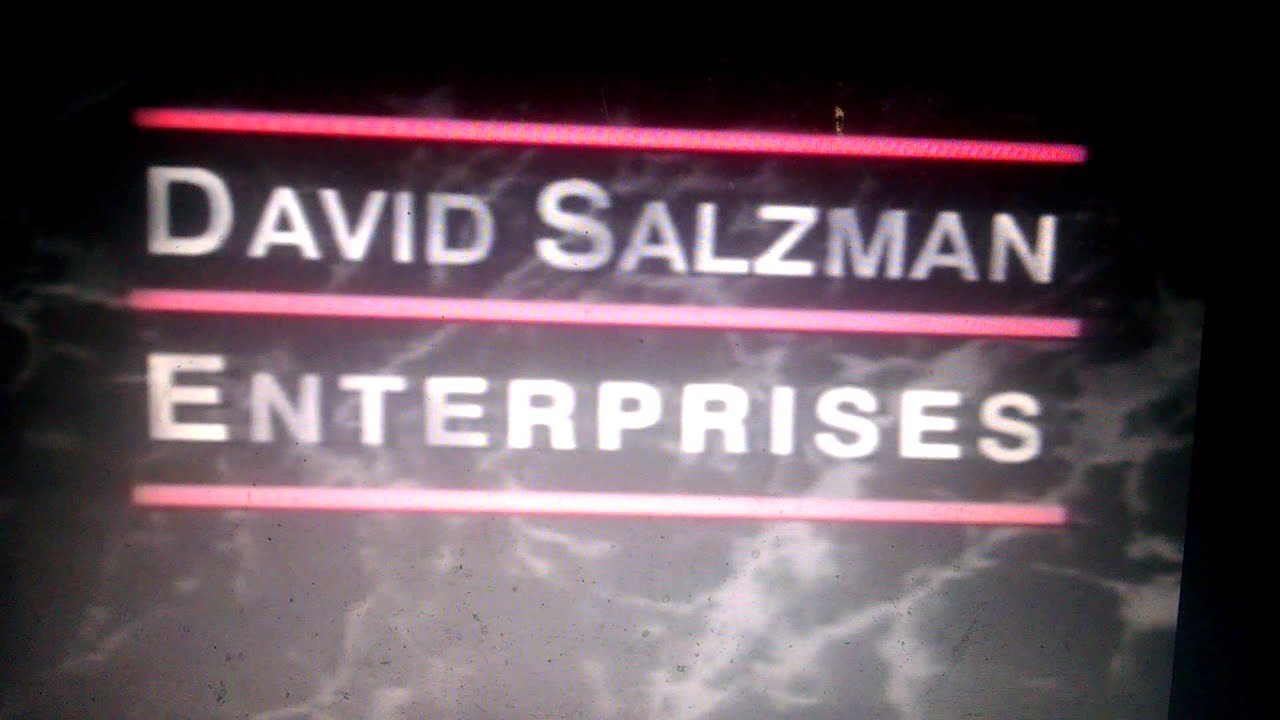 David Salzman Enterprises/Telepictures Productions/Warner Bros ...