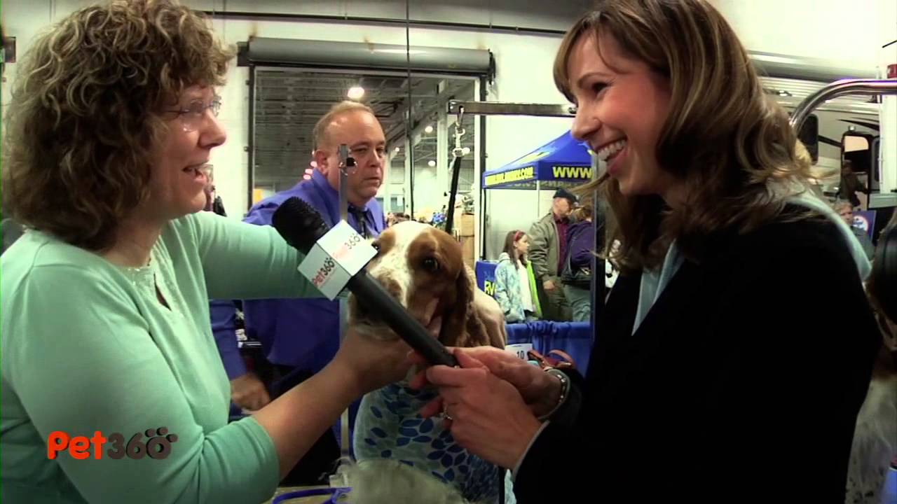 Show Dog Makeovers - YouTube