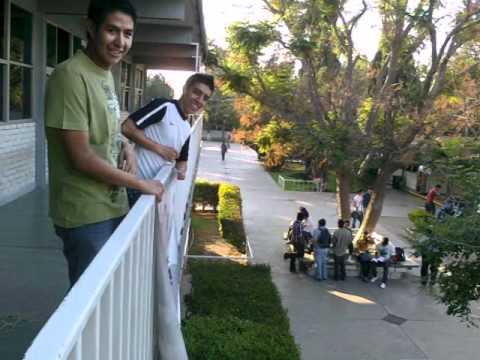 CBTIS 89 "Conocer, hacer y conocer para convivir" - YouTube