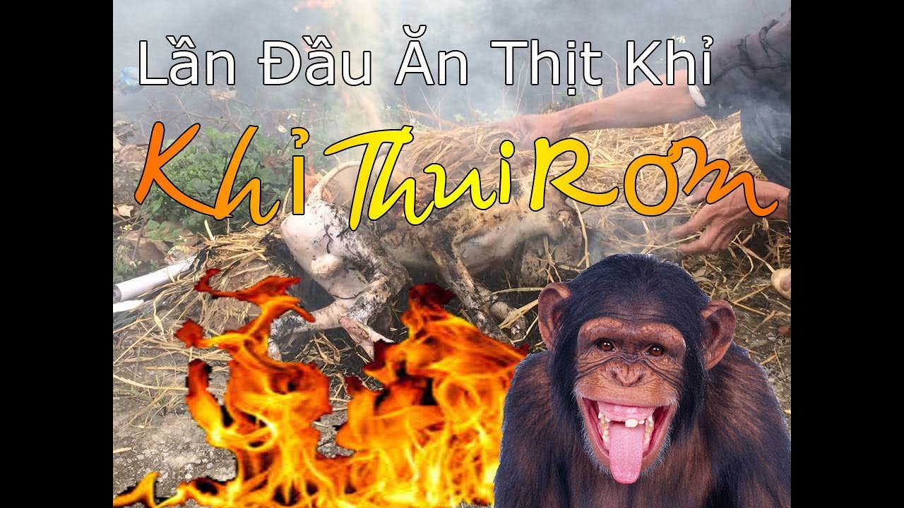Lần Đầu Tiên Thịt Khỉ ( Monkey Meat 7 dishes ) - YouTube