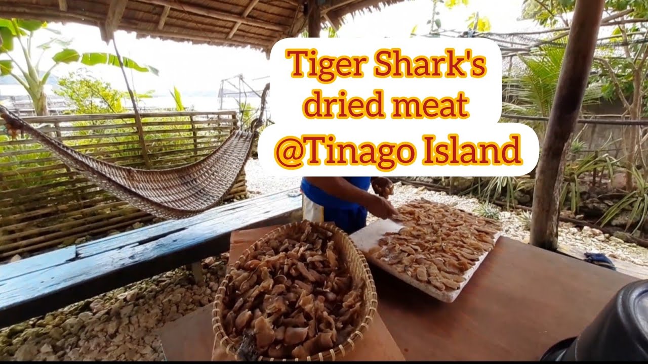 Tiger Shark's dried meat || Buyad na Pating - YouTube