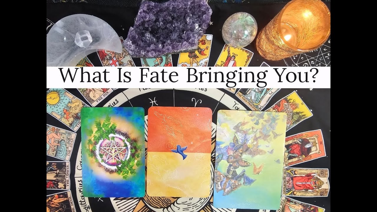What is Fate Bringing You? Pick-A-Card - YouTube
