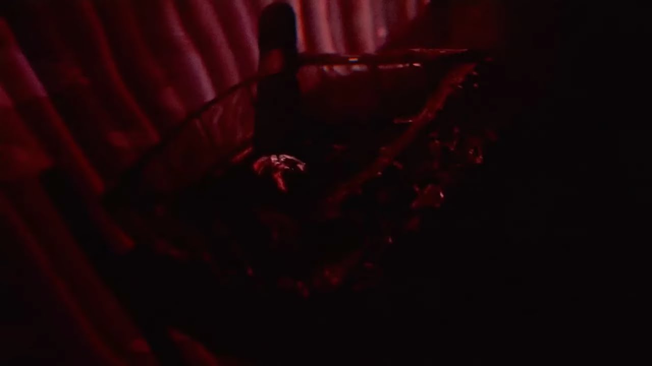 Scarlet Sacrifice - Words Left Behind (Visualizer) - YouTube