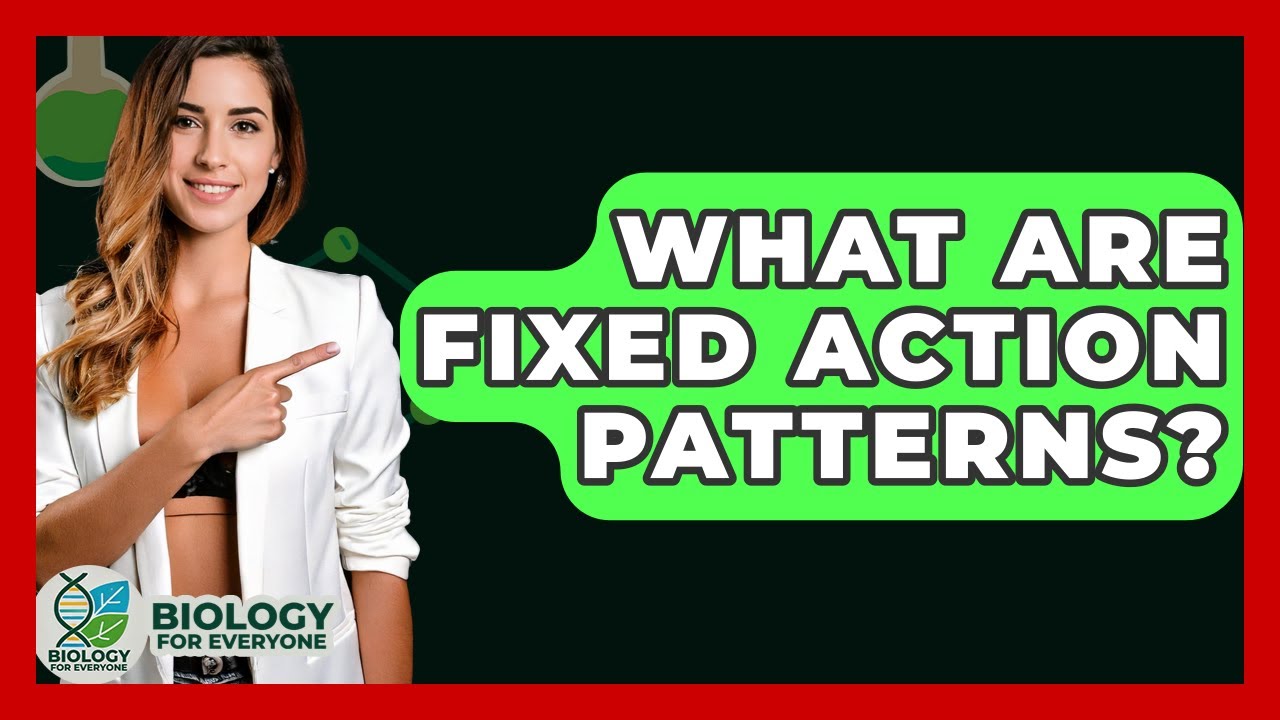What Are Fixed Action Patterns? - Biology For Everyone - YouTube