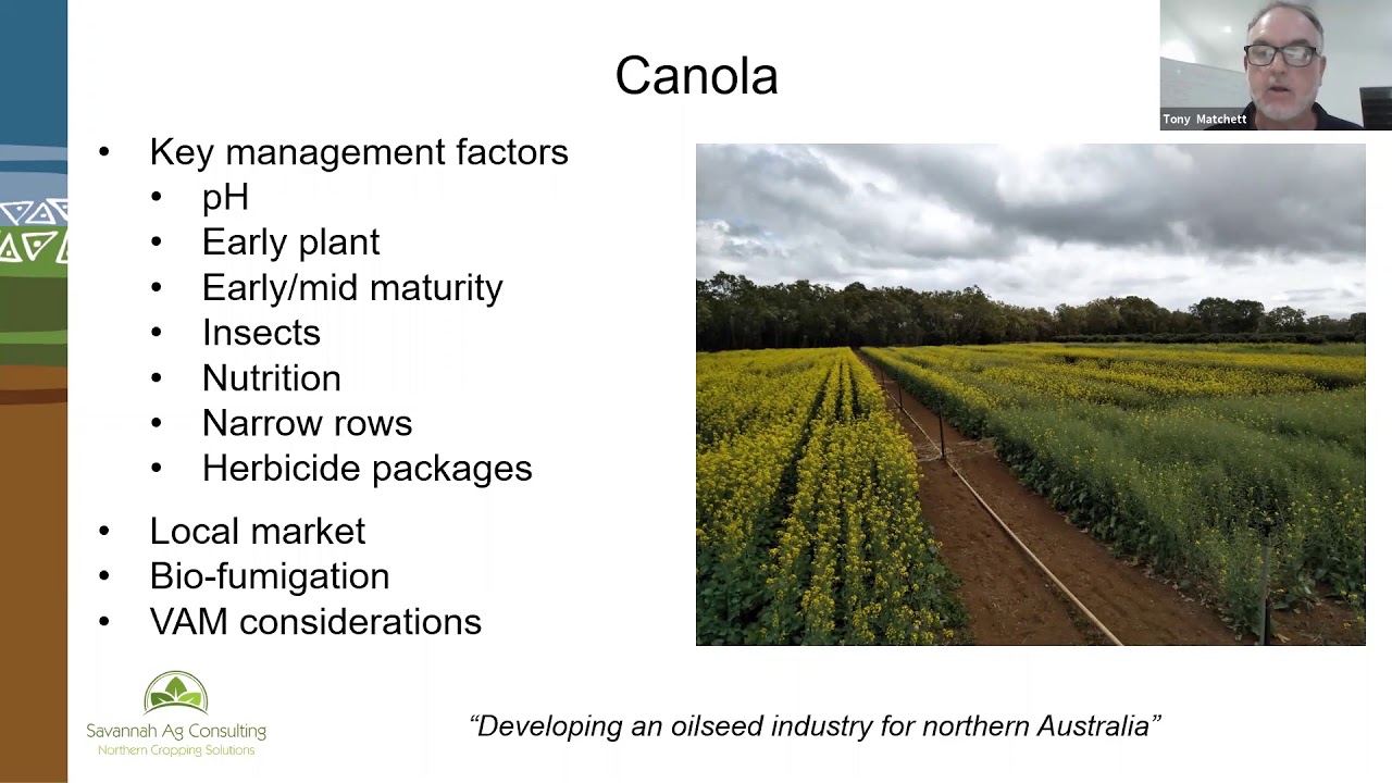 North Queensland Broadacre Cropping Webinar - YouTube