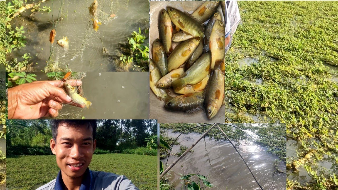 ukabi faba ekaithabi marakta mayam enjoy village life. - YouTube