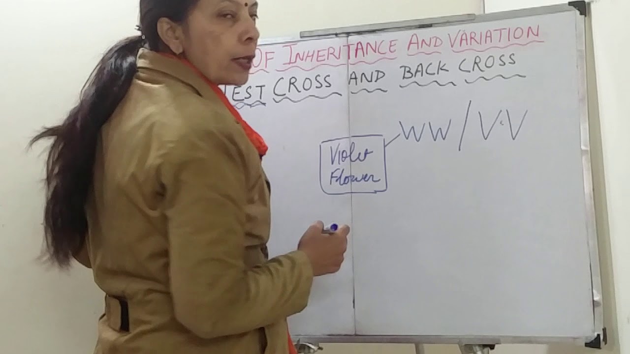 TEST CROSS AND BACK CROSS /GENETICS /CLASS 12 (PART-6) NEET/ AIIMS/ PGT ...