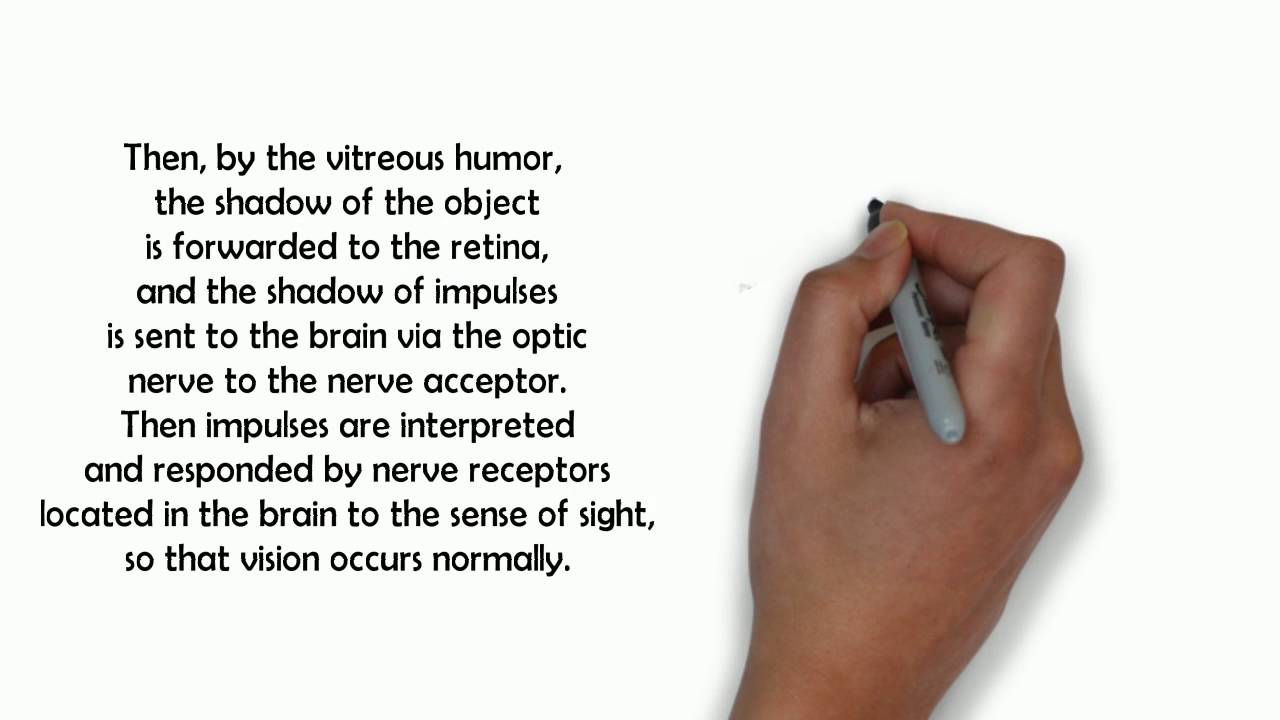 Explanation Text '' MYOPIA '' - YouTube