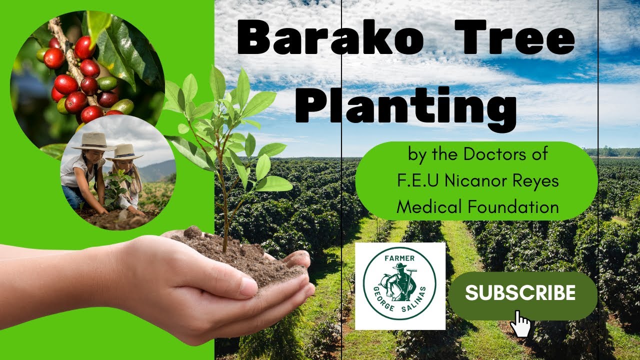 Doctors Unite for Coffee Tree Planting | Adopt the Barako Tree Project ...