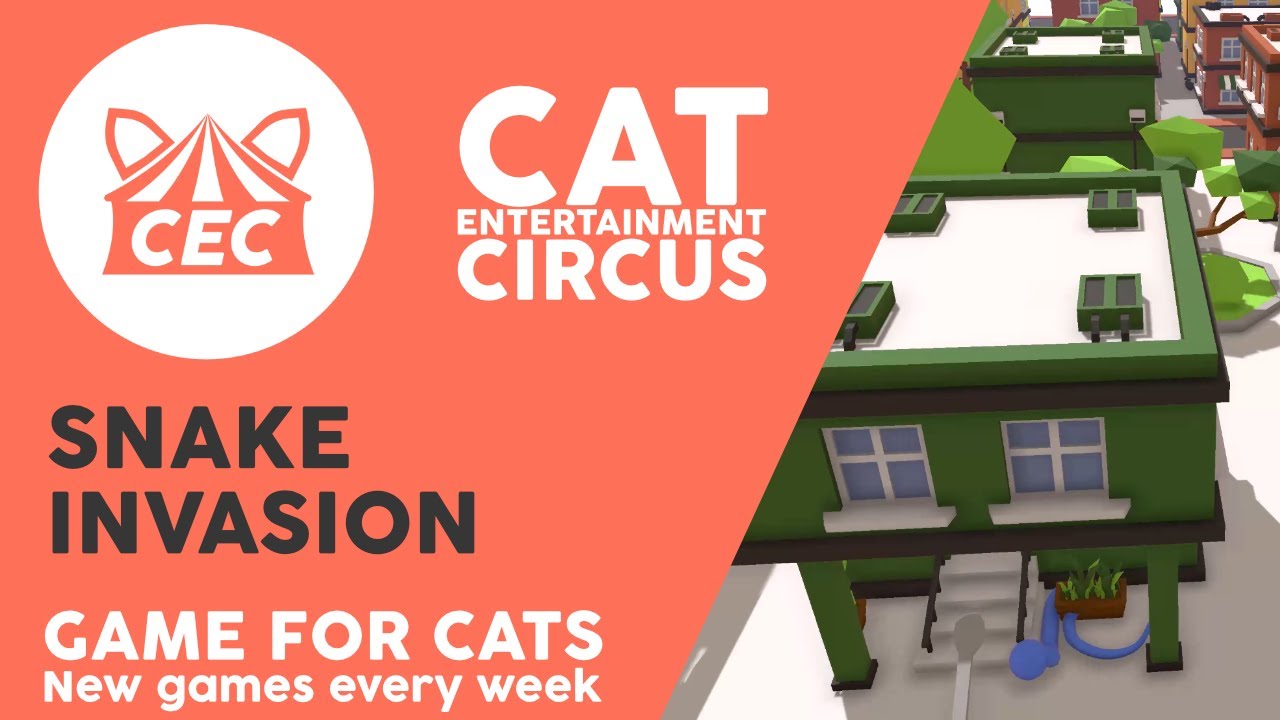 CAT SNAKE GAME 4K 2023 - 20 Minutes - Video for cats to watch 3 moving ...