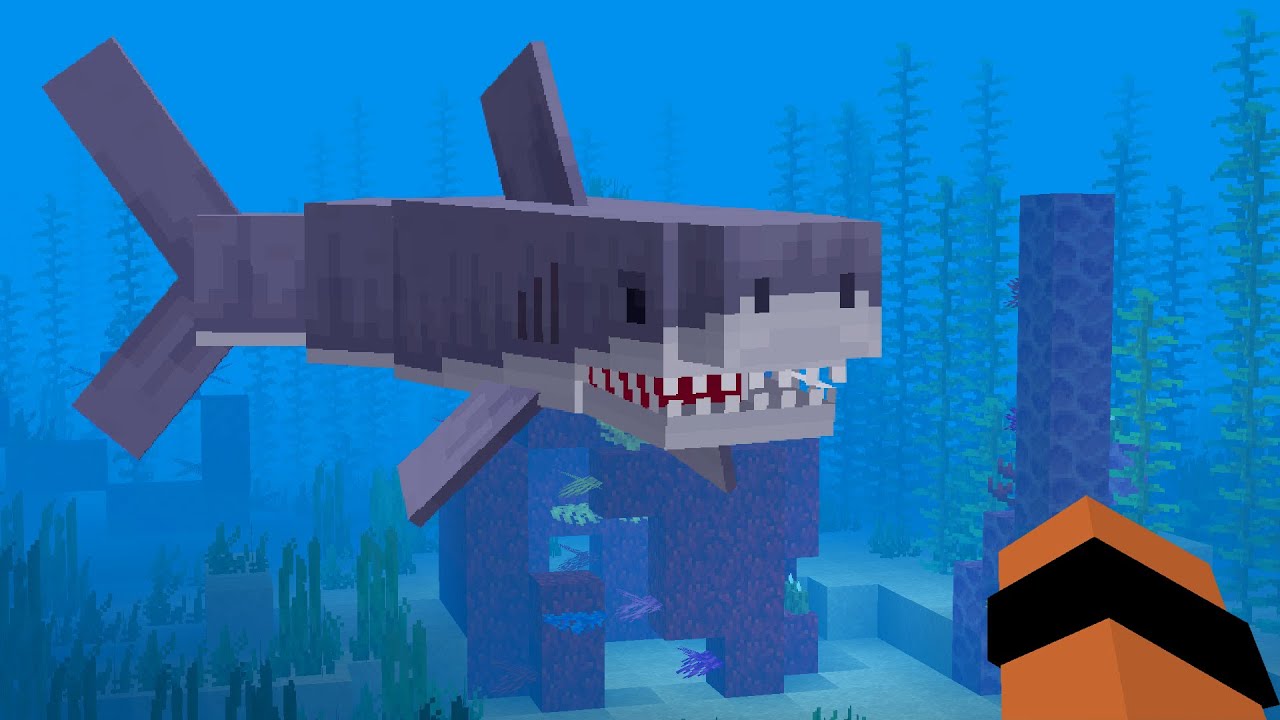 ENCONTREI O TUBARÃO MAIS PERIGOSO DO MINECRAFT - YouTube