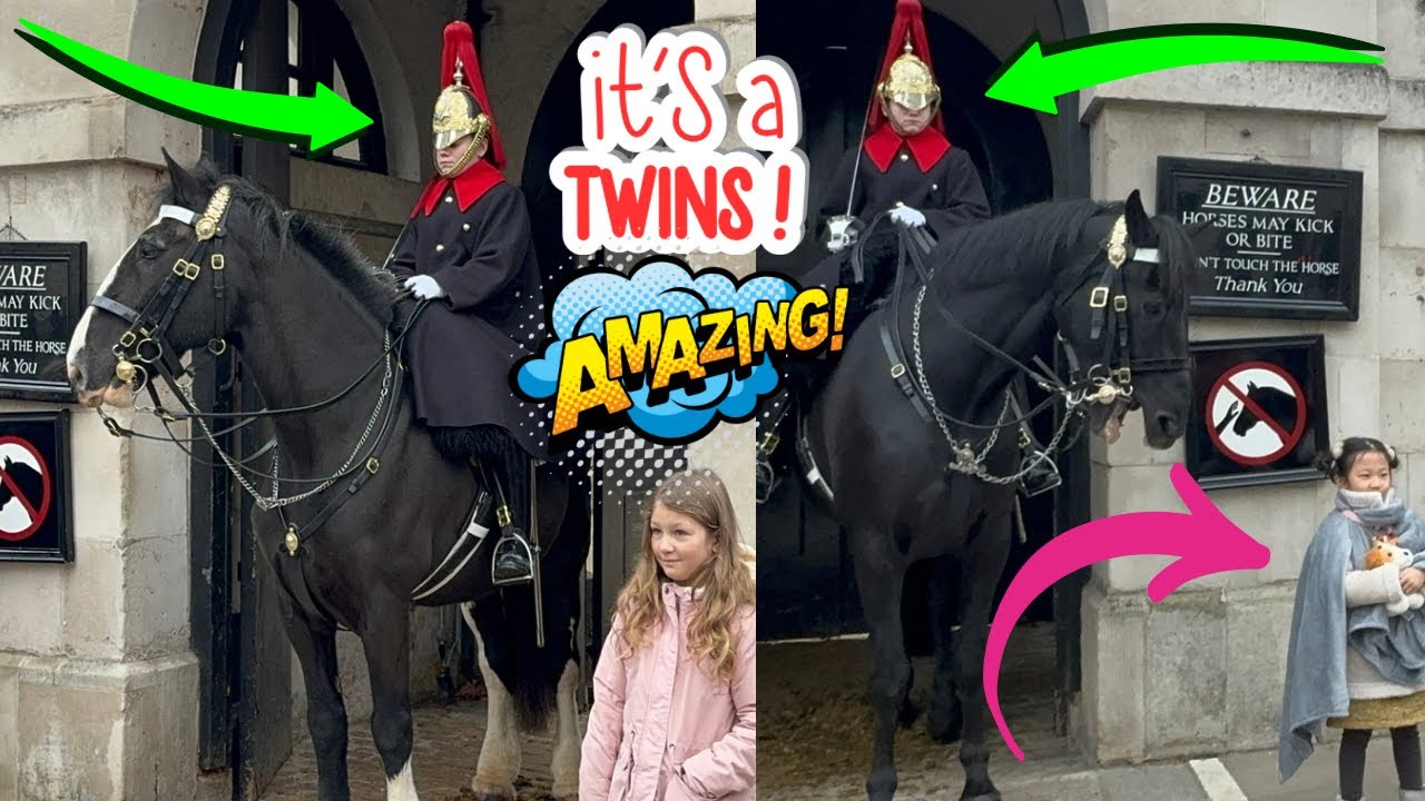 UNBELIEVABLE 😍SO IDENTICAL KINGS Guards💂 TWINS SISTERS Both of them ...