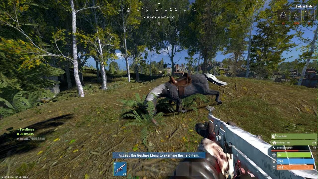 Rust Lost ole patches to a trap! - YouTube