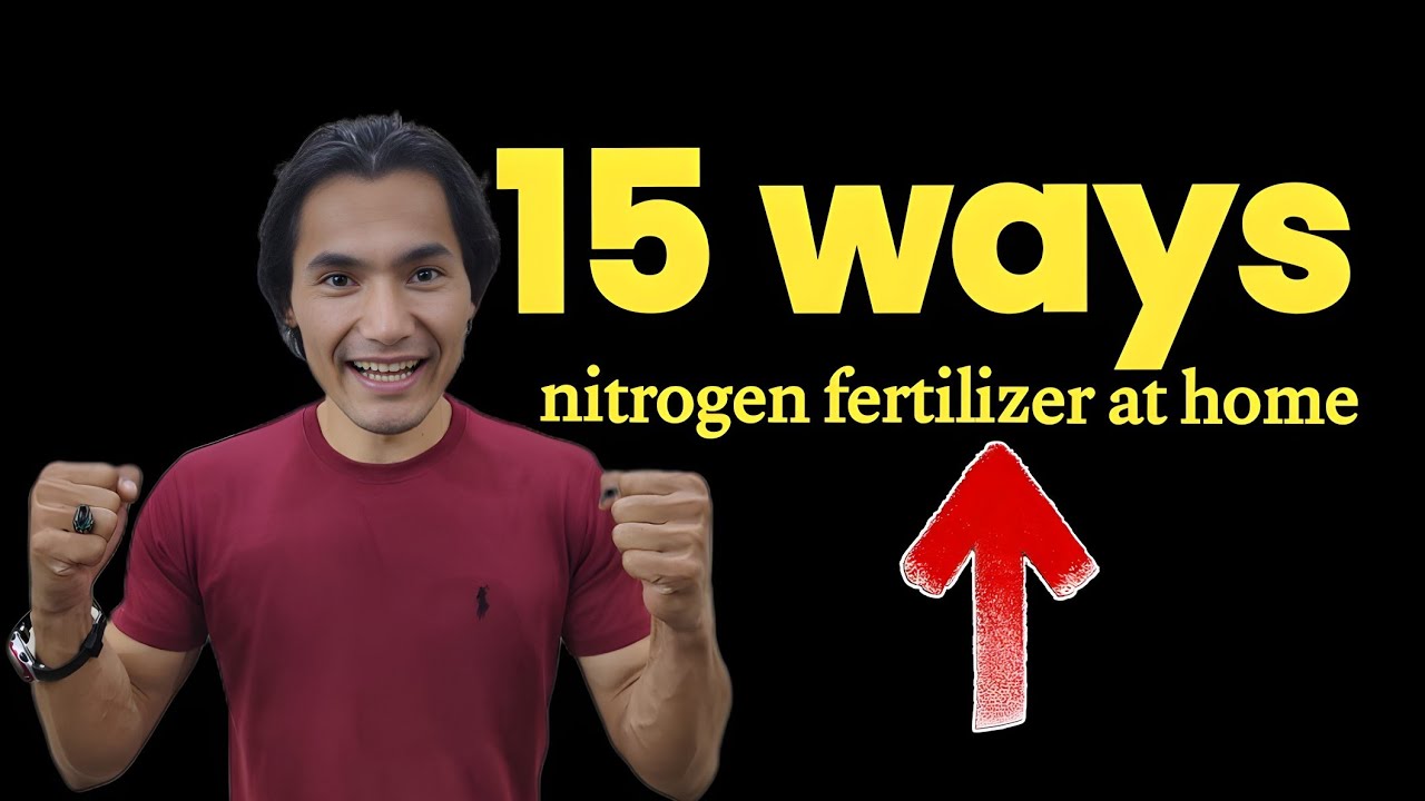 How to Make Powerful Organic Nitrogen Fertilizer at Home – 15 Easy ...