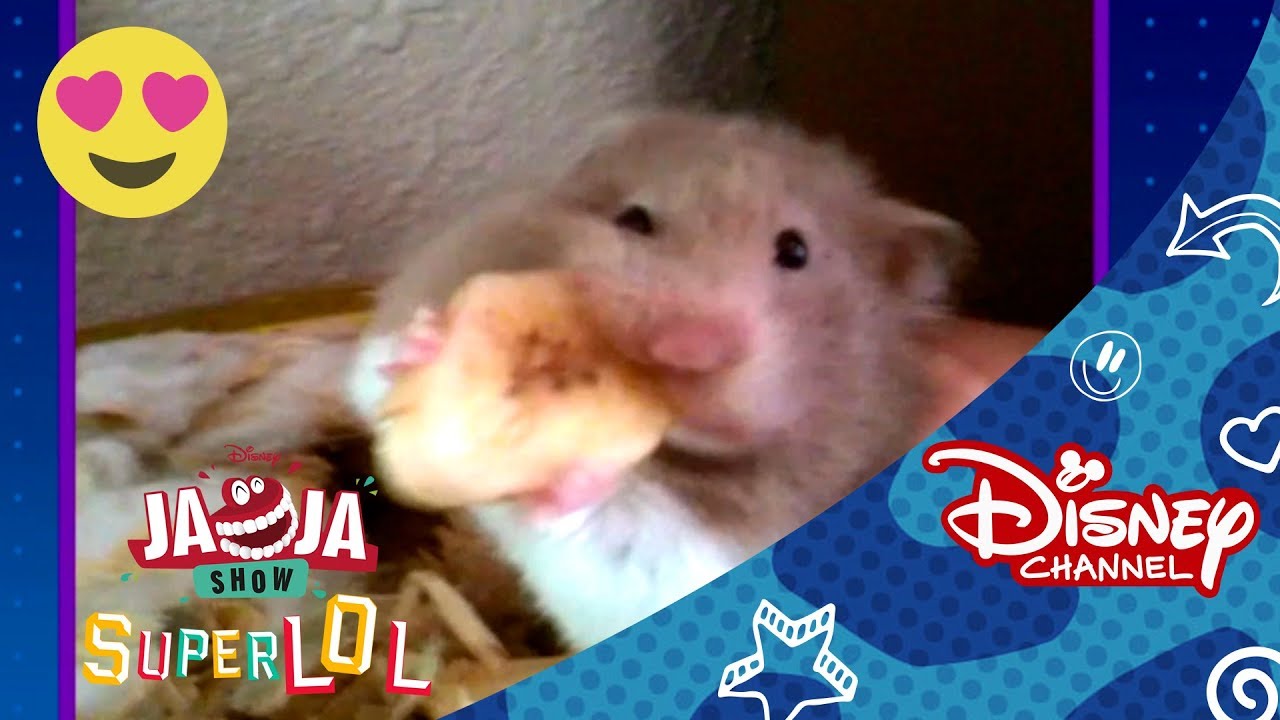 JaJa Show: 100% Adorable | Disney Channel Oficial - YouTube