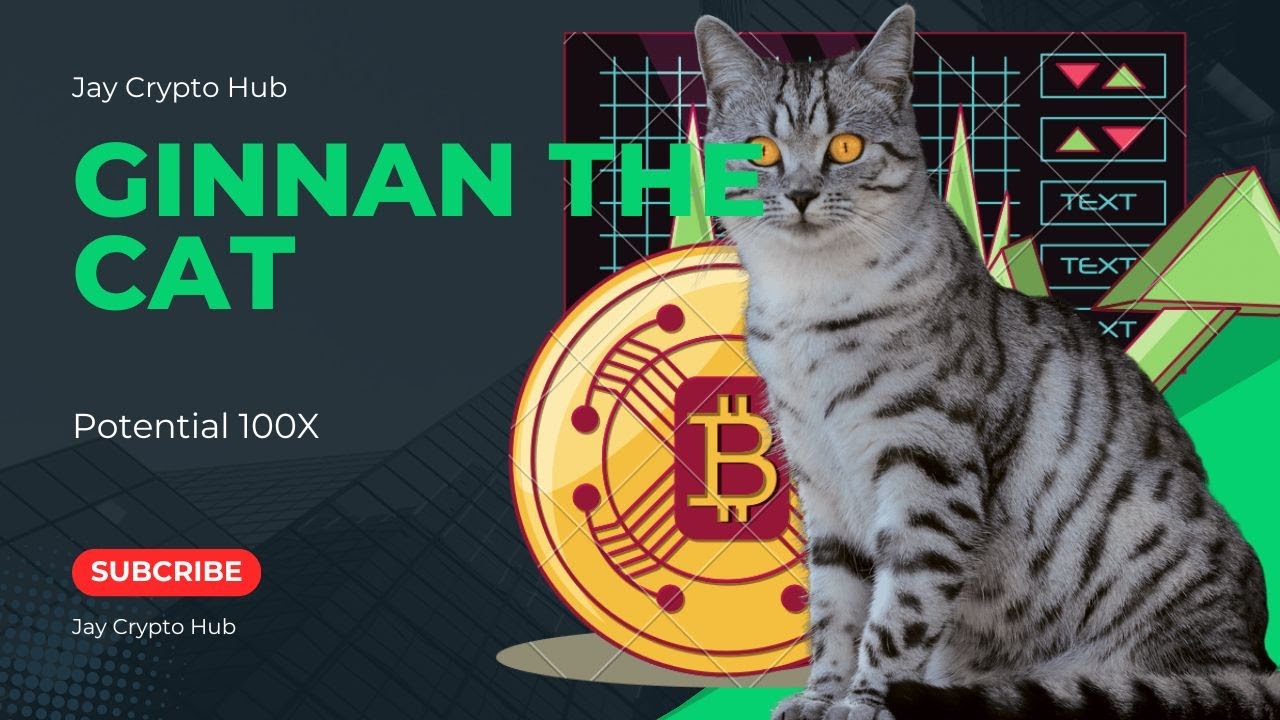 GINNAN THE CAT: The potential 100X meme cat coin - YouTube