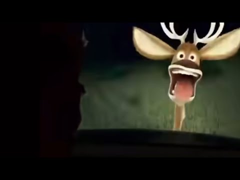 “He ran right in front of my truck” - YouTube