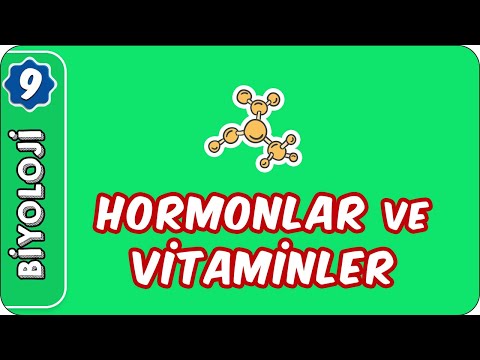 Hormonlar ve Vitaminler | 9.Sınıf Biyoloji