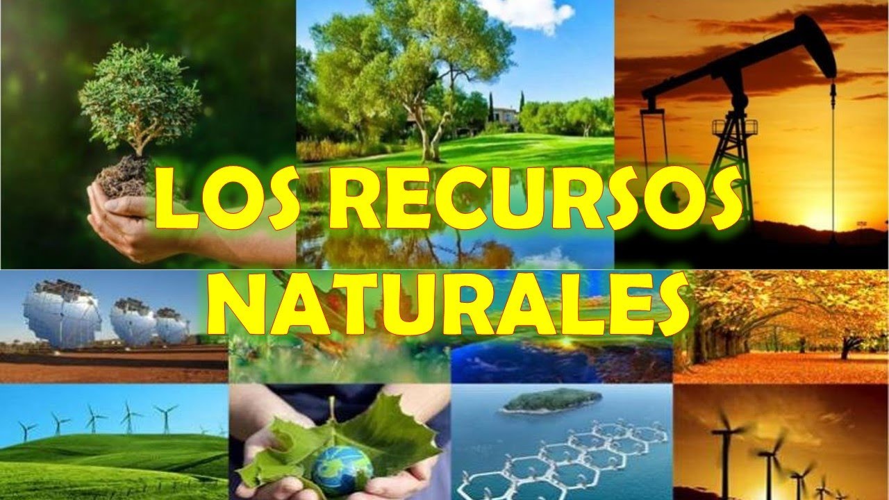 Recursos Naturales - CLASES (Resumido y sencillo) - YouTube