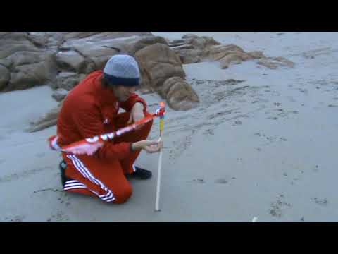 RETURN OF THE PENNY FOR THE TOY RETURNS - YouTube