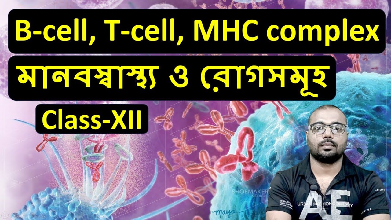 B-cell, T-cell, MHC complex class xii 4th sem - YouTube