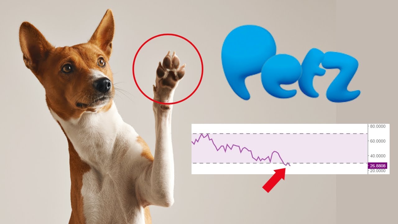 PETZ3 HORA DE COMPRAR AS AÇÕES DA PETZ ? COMO A ANÁLISE TÉCNICA PODE ...