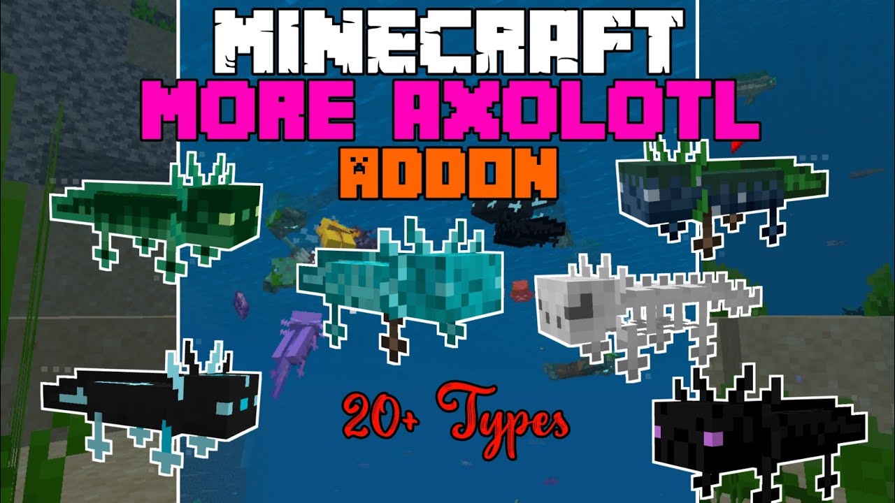 Minecraft PE Mod - More Axolotl Types Add-On] Version 1.17 - YouTube