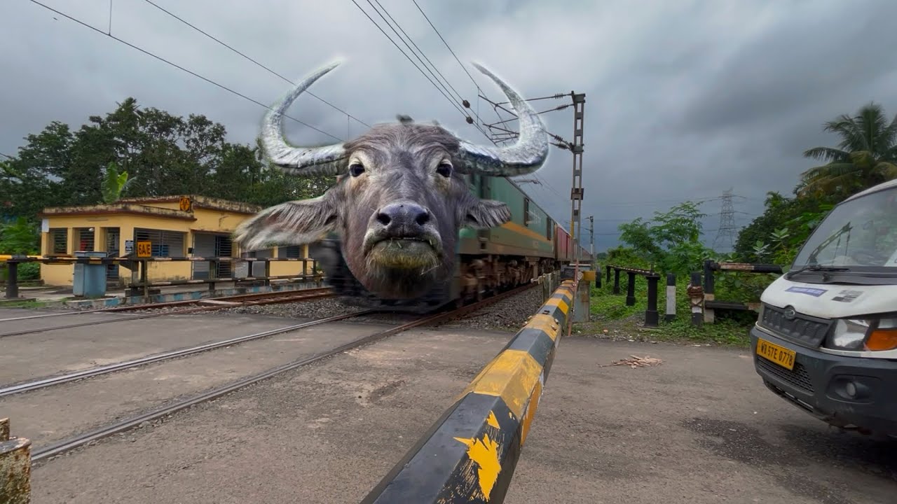 Dangerous Buffalo Headed Garibrath Express Furious Moving Throughout at ...